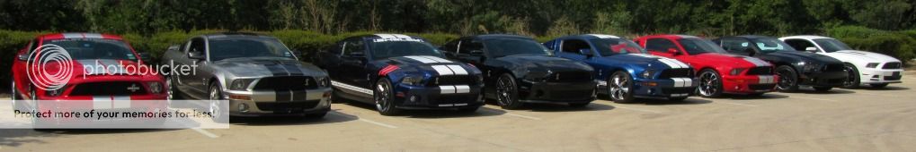 GT500 Club Meet In Dallas Pics | Ford Shelby GT500 Forum