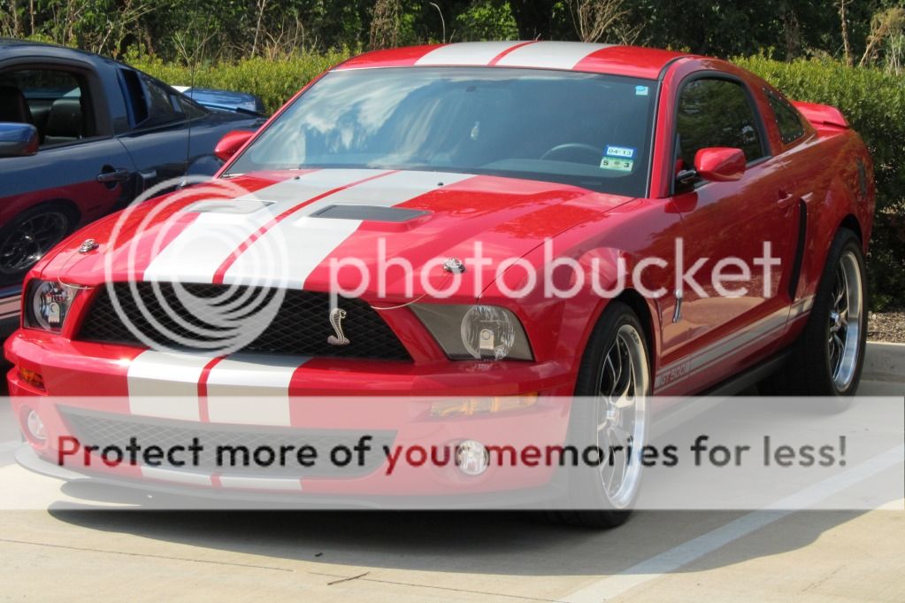 GT500 Club Meet In Dallas Pics | Ford Shelby GT500 Forum