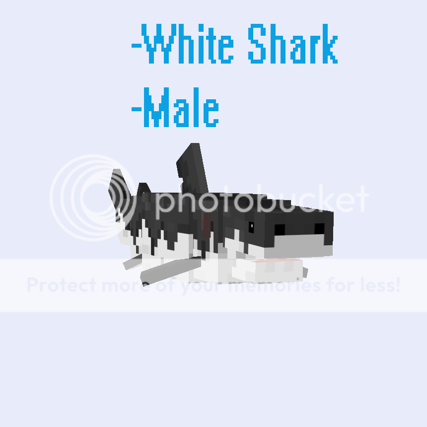 WildCraft Mod - Better Animals and More! [We just Moved into ...